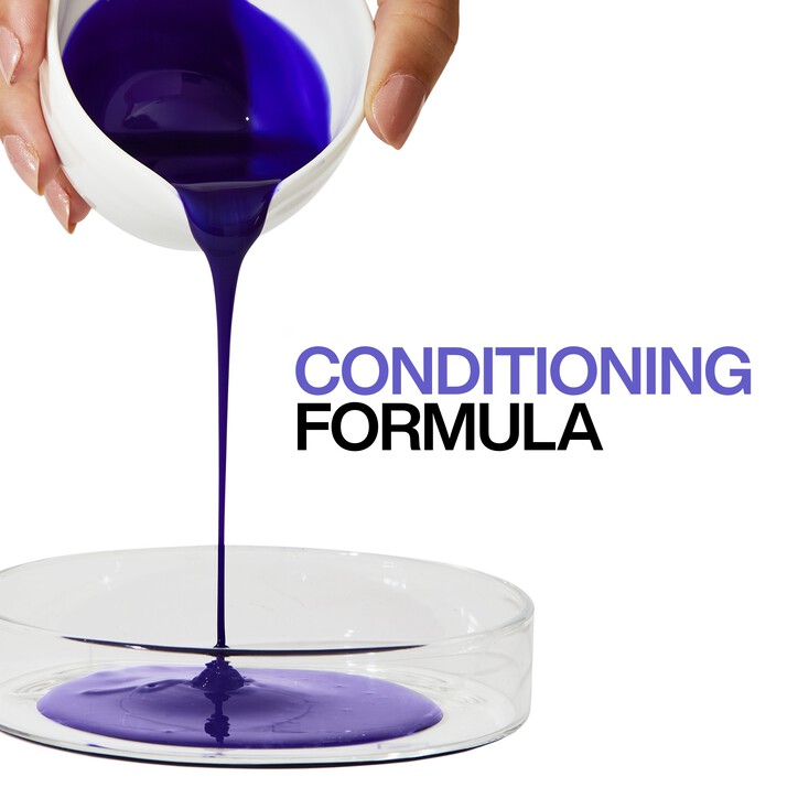 Purple Shampoo & Toning Shampoos | At Home Hair Toning | Redken
