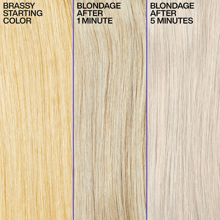 Blondage Purple Toning Shampoo for Blonde Hair | Redken